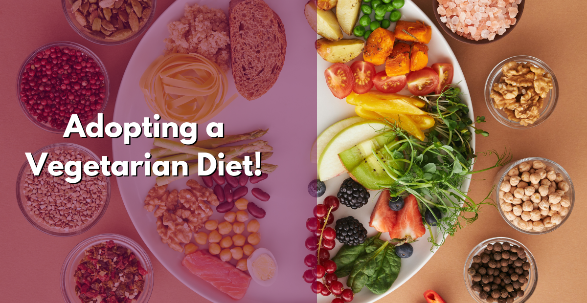 The Beginner's Guide to Adopting a Vegetarian Diet
